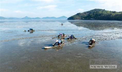 ‘여수갯벌 유네스코 세계유산 등재 신청 뉴스와이드