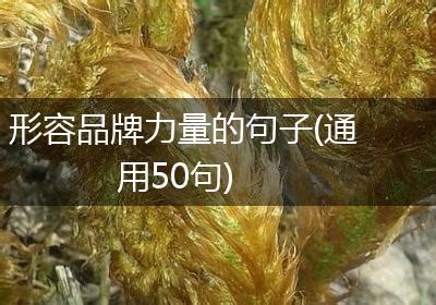 形容品牌力量的句子 通用50句