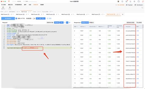 账号密码为加密参数 Yak Program Language