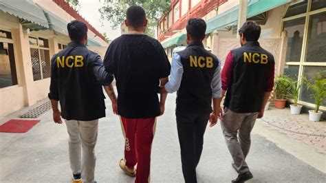 From Hawala Agent To Global Drug Lord How Pawan Thakur Landed On