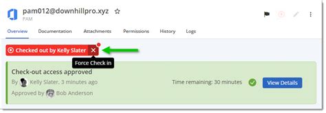 Approve Access To A Privileged Account Devolutions Documentation