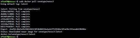 Deploy Sonatype Nexus Repository Oss V3 On Docker Container Devops Tricks
