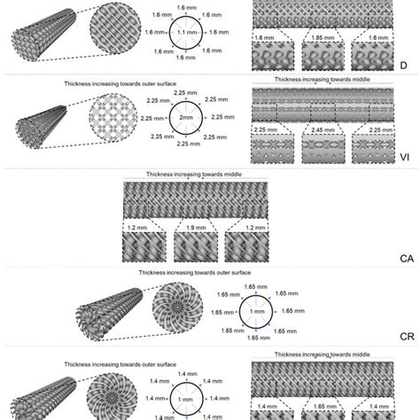 Longitudinal And Radial Density Gradient In Five Functional Gradient