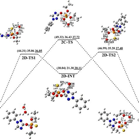 Optimized Structures Of The Transition States At The Download