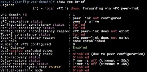NEXUS VPC Networking Security