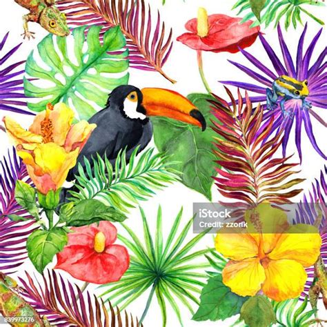 큰부리새 도마뱀 열 대 잎 이국적인 꽃 원활한 정글 패턴입니다 수채화 0명에 대한 스톡 벡터 아트 및 기타 이미지 0명 개구리 개화기 Istock
