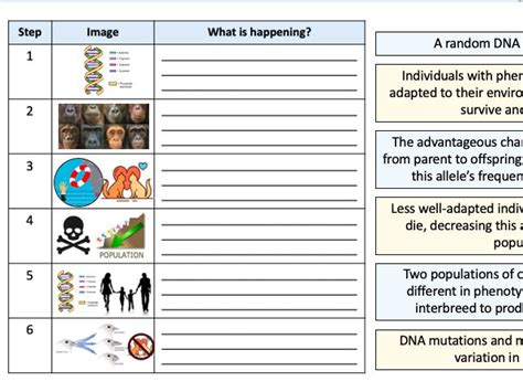 Evolution By Natural Selection Aqa Gcse Biology Teaching Resources