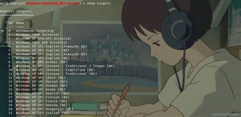 Windows Xp Sp3 Chinese Simplified Nx渗透详细解析kali渗透xp Csdn博客