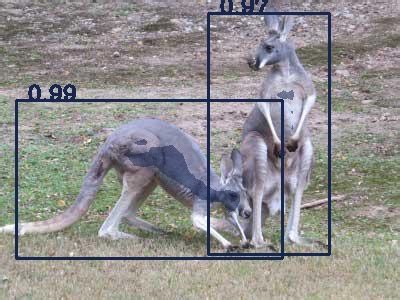 Ai Blog Ms Rajput How To Train Mask Rcnn Model For Custom Dataset Using Google Colab