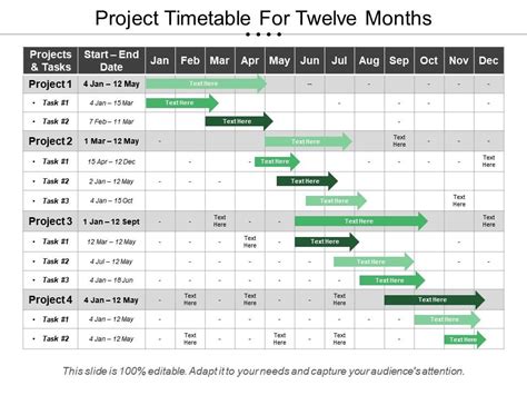 Project Timetable For Twelve Months Presentation Graphics Presentation PowerPoint Example