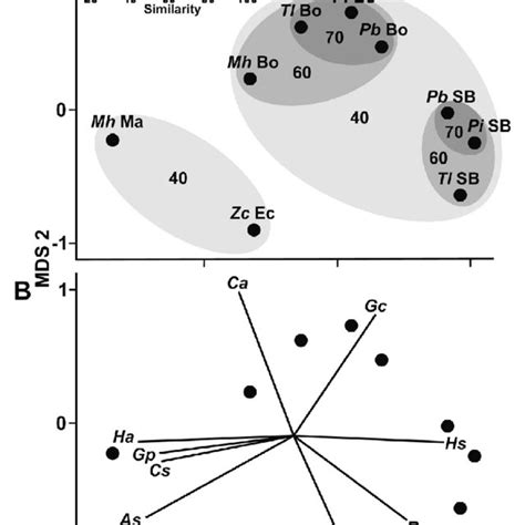 Non Metric Two Dimensional Ordination Plot Based On Bray Curtis