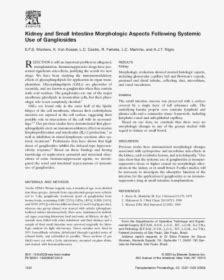 Sex Position For Small Penies Document HD Png Download Transparent Png Image PNGitem