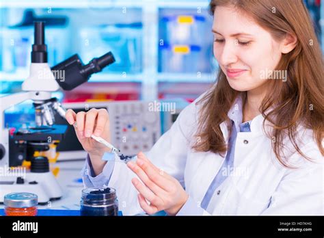 MODEL RELEASED Woman Placing Sample On To Microscope Slide Stock Photo Alamy