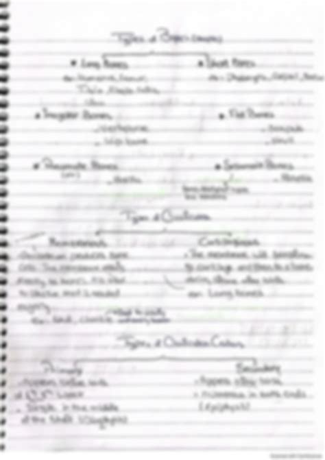 Solution Introduction To Anatomy Skeletal System Classification