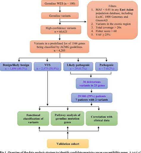 Figure 1 From Whole Exome Sequencing Reveals A Comprehensive Germline