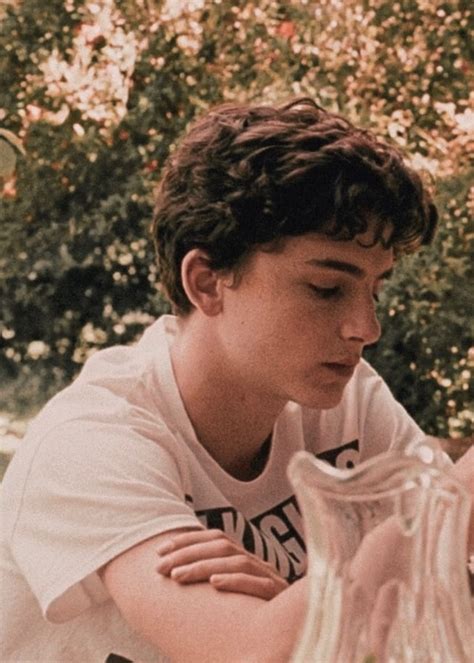Summer 1983 — Elio Perlman Call Me By Your Name 2017 Dir Luca