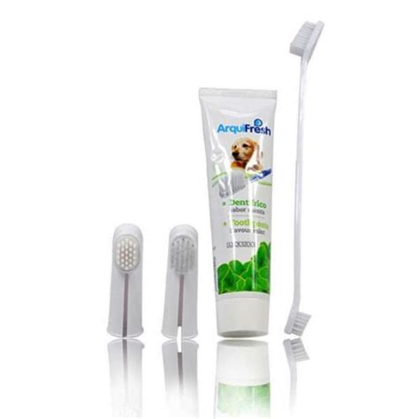 Your Teeth Must Last Your Life So It Is Extremely Important To Look After Them Oral Health Is