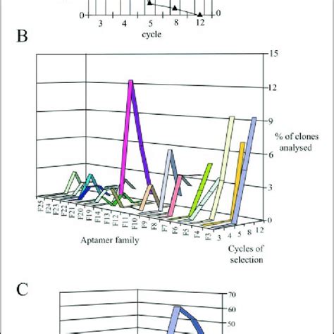 In Vitro Selection Dynamics Randomly Chosen Aptamers Isolated At Download Scientific Diagram