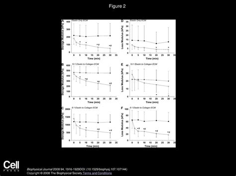 Volume 94 Issue 5 Pages March 2008 Ppt Download