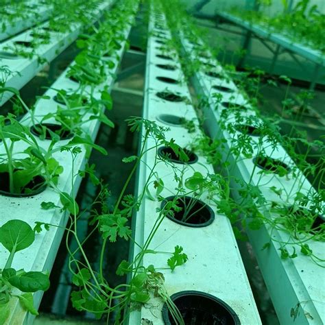 Shruthi H On Linkedin Slkdnachronicles Lifeatslk Workplaceculture