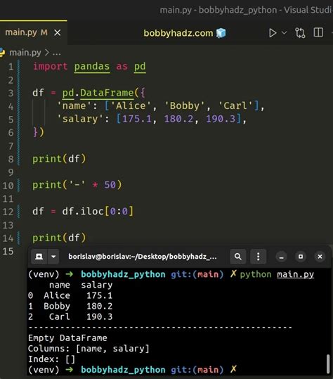 How To Drop All Rows In A Pandas Dataframe In Python Bobbyhadz