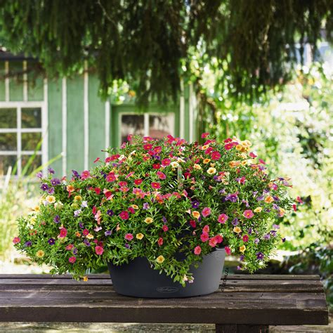 Lechuza Cascada Stackable Self Watering Planters The Green Head