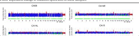 Copy Number Variations Of Primary And Recurrent Metastatic Tumors Download Scientific Diagram