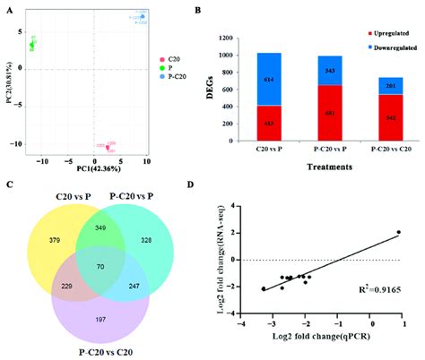 A Pca Score Plot Of The Rna Sequencing Rna Seq Data For Three Download Scientific Diagram
