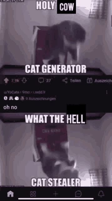 Cat Generator  Cat Generator Discover And Share S