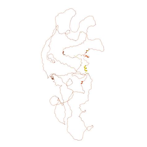 Rcsb Pdb Af Afp04985f1 Computed Structure Model Of Elastin