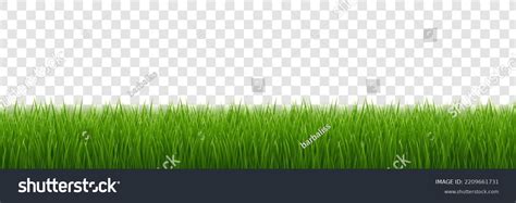 투명한 배경이 있는 녹색 잔디 테두리 스톡 일러스트 2209661731 Shutterstock