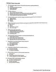 Unveiling The Mystery Of Blank Pages An Exploration Course Hero