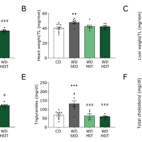 Effect Of Exercise Training On Body Weight Liver Weight And Blood