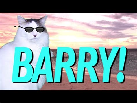 Happy Birthday Barry Epic Cat Happy Birthday Song Youtube