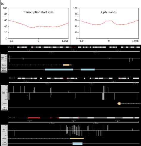 Sem Seq On Human Cfdna Sample A Cpg Methylation Profiles In Download Scientific Diagram