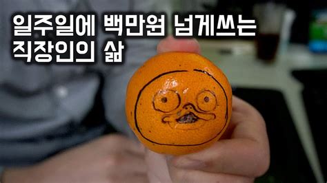 자취 일상 브이로그 재벌 Vlog 유튜브 수익 믿고 까부는 유튜버 일주일에 100만원 넘게 쓰는 직장인의 일상 Youtube