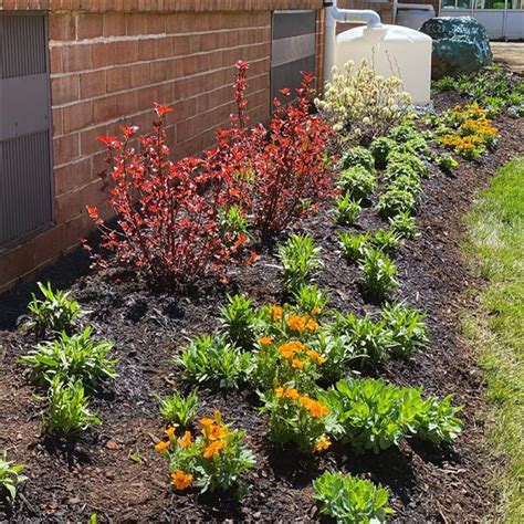Rainscaping Ideas Useful Methods To Manage Rainwaters In Gardens