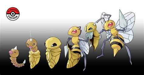 All Pokemon Evolutions Chart