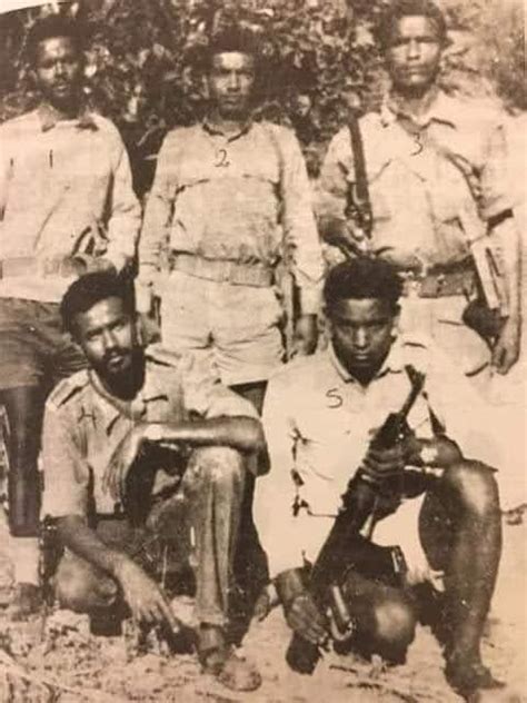 ገሊኣቶም ነቶም ኣብ ስደተኛታት ከለኹም ንህዝብና ዝሓሸ ኺረኽቡ ዚደልዩ ሰባት ኣትሒትኩም እትዛረቦም ዘለኻ ብኸመይ ኢኻ R Eritrea