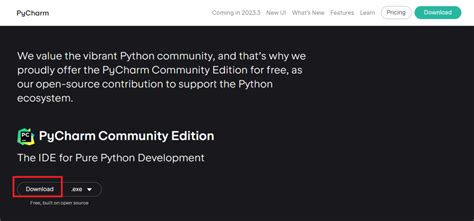 Best Python Ide Comparing The Best Options Copahost
