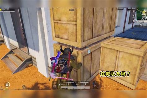 猫捉老鼠?(上) 猫捉老鼠?(上)