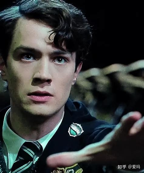《哈利波特》：伏地魔灵魂的残缺象征什么？看懂他在永生路上的追求，也就明白了他的覆亡无可改变 知乎