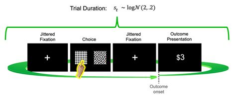 Schematic Of The Experimental Task Download Scientific Diagram