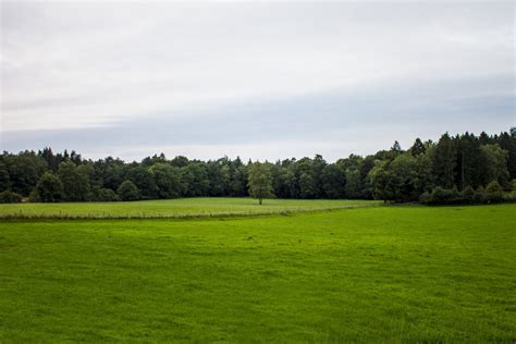 무료 이미지 경치 나무 수평선 구조 식물 하늘 들 목초지 대초원 흐린 공기 언덕 전망 천국 목장