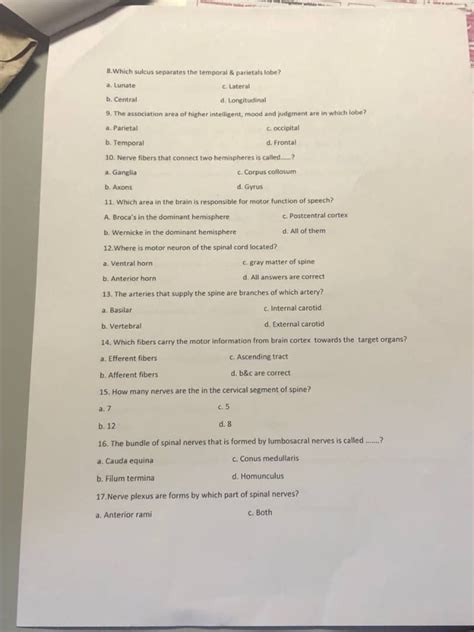 8 Which Sulcus Separates The Temporal And Parietals Lobe A Lunate C Lateral B Central D