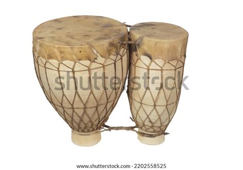 Congo Drum Congos Instrument Isolated On Stock Illustration 2202558525 ...
