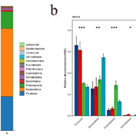Results Of 16s Rrna Sequencing And Anovatest A The Sequencing Results