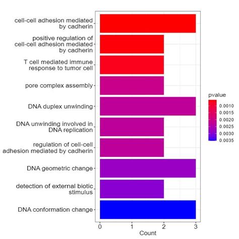 Cell Proliferation Assay Creative Proteomics Automated Single Cell