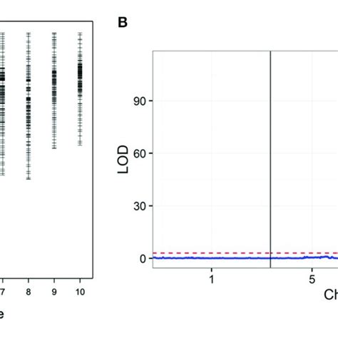 A Genetic Map Of Recombinant Inbred Line Ril Population And B