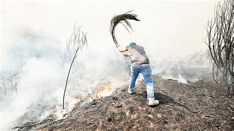 စပိန်နှင့်ပေါ်တူဂီတို့၌ တောမီးလောင်မှုများကိုရင်ဆိုင်နေရစဉ